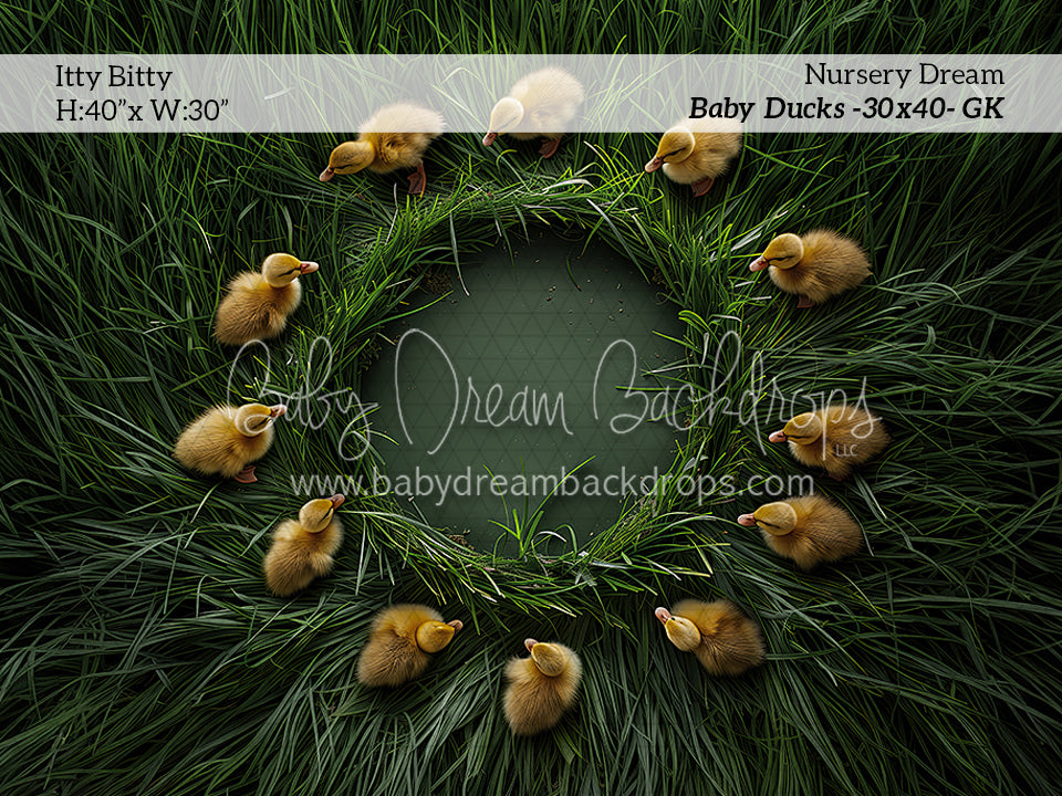 Itty Bitty Nursery Dream Baby Ducks (GK) – Baby Dream Backdrops