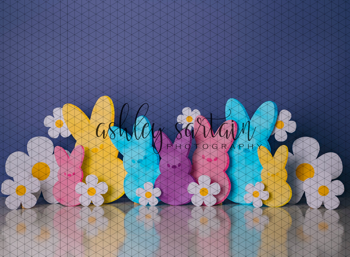 HANGIN WITH MY PEEPS (AH) – Baby Dream Backdrops