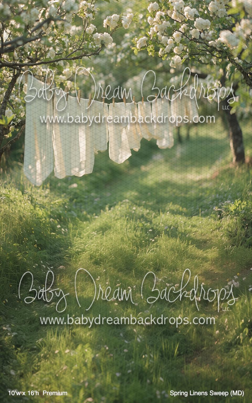 Summer 2025 — Baby Dream Backdrops