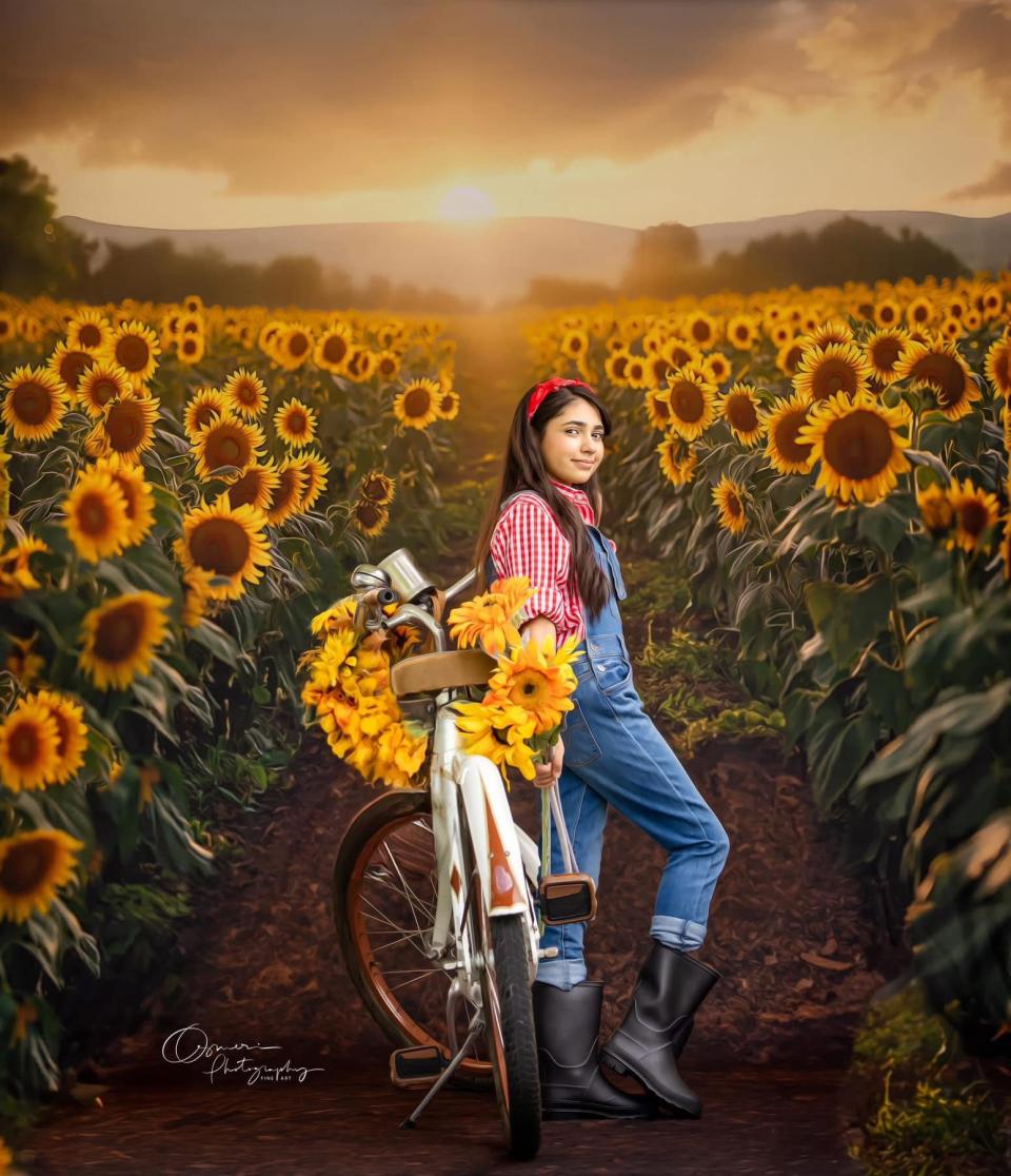 Outdoor Dreams — Baby Dream Backdrops