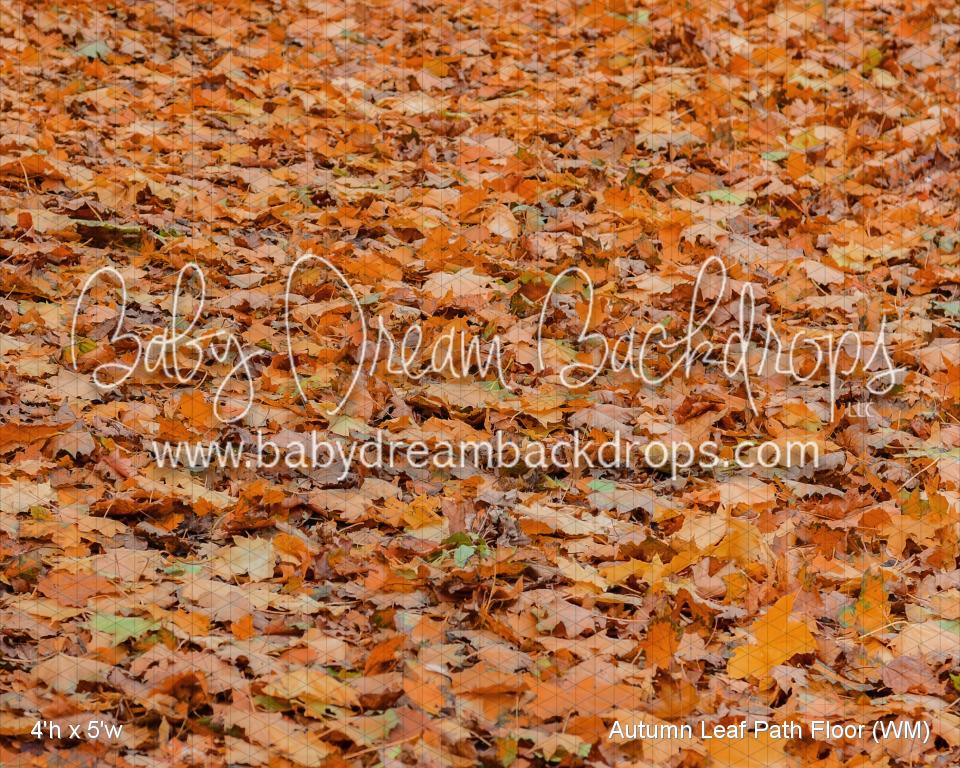 Autumn Leaf Path Floor (WM) — Baby Dream Backdrops