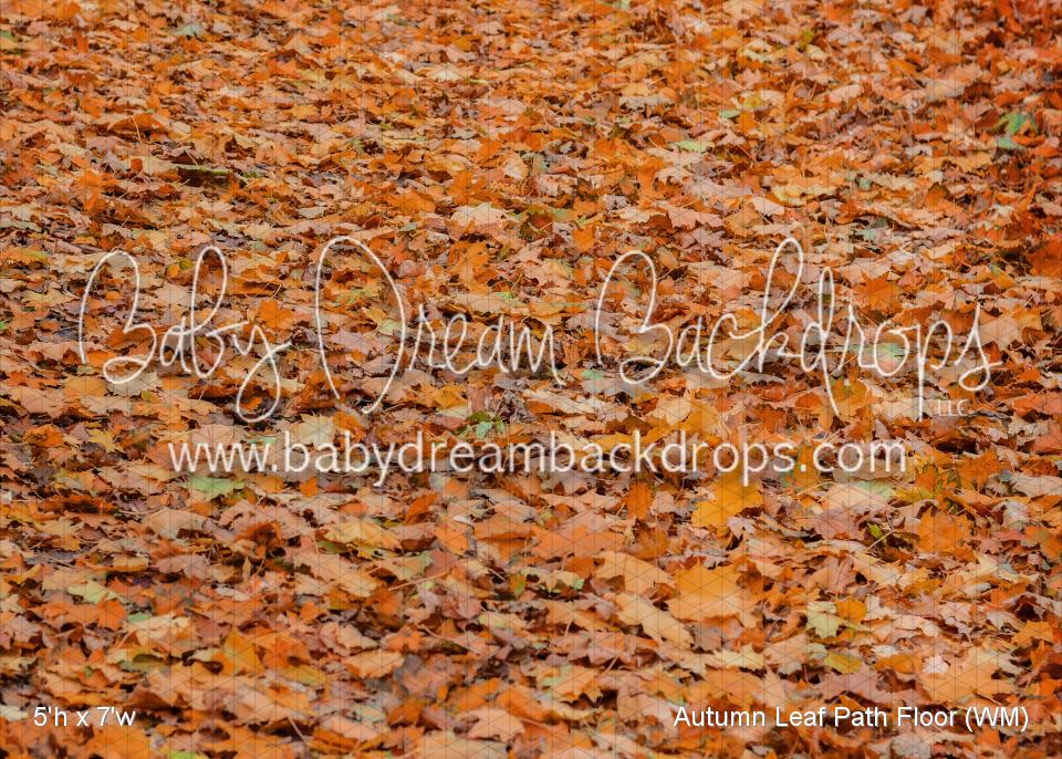 Autumn Leaf Path Fabric Floor (WM) — Baby Dream Backdrops