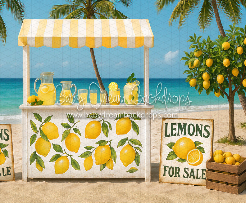 Beachside Lemonade Stand (CC) — Baby Dream Backdrops