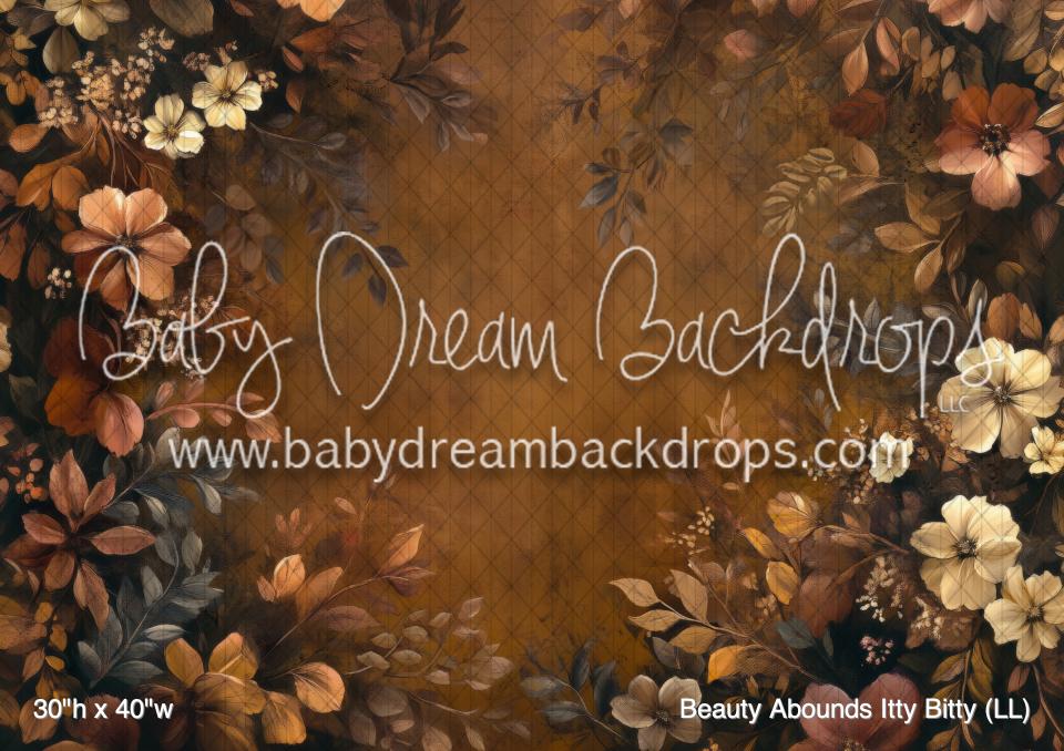 Beauty Abounds Itty Bitty (LL) — Baby Dream Backdrops