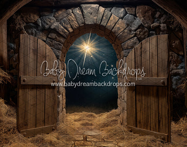 Bethlehem Stable (JA) — Baby Dream Backdrops