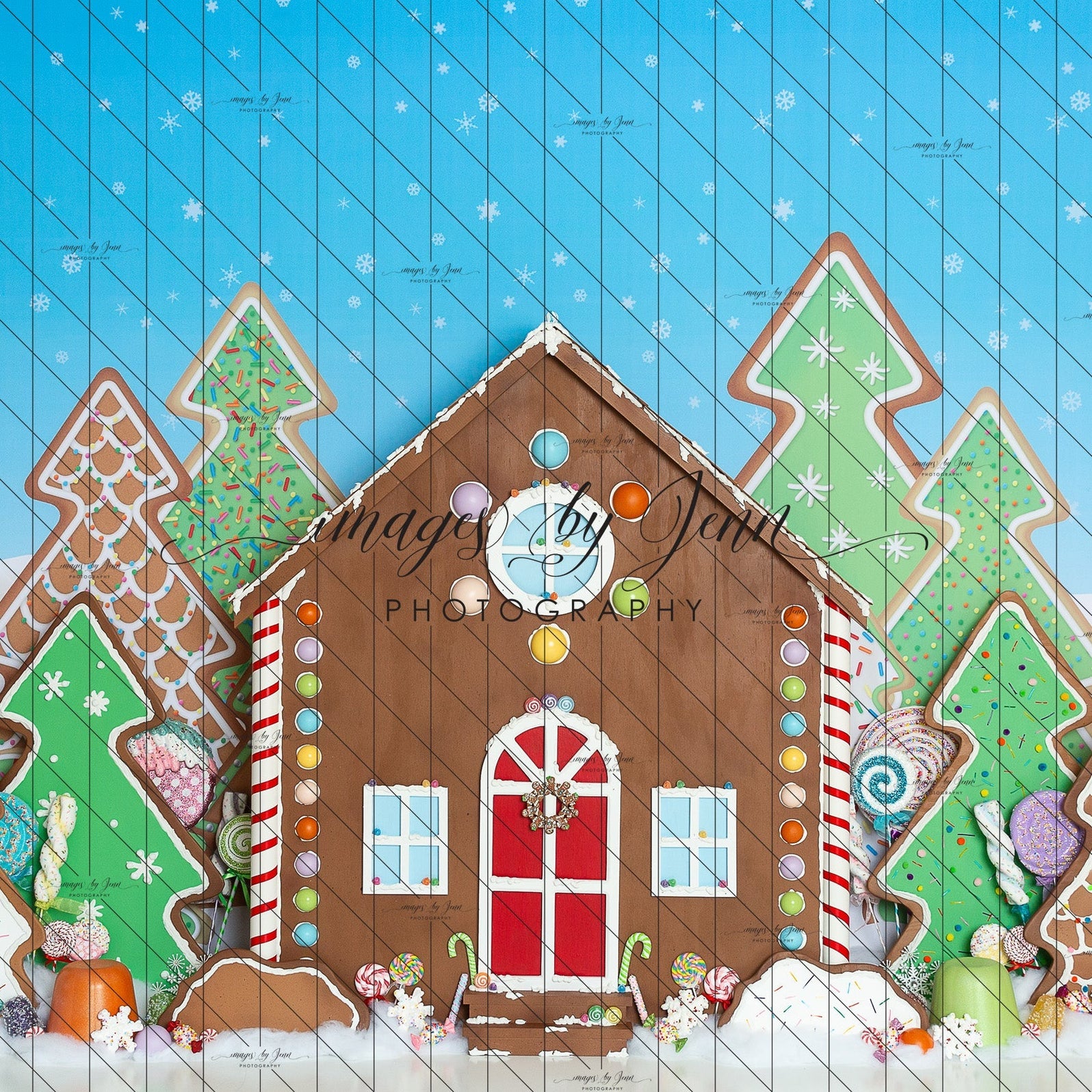 Candy Lane Gingerbread House — Baby Dream Backdrops