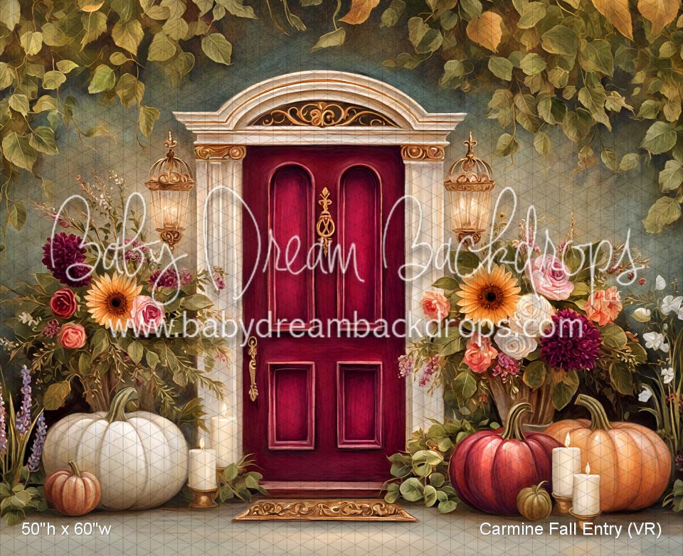 Carmine Fall Entry (VR) — Baby Dream Backdrops