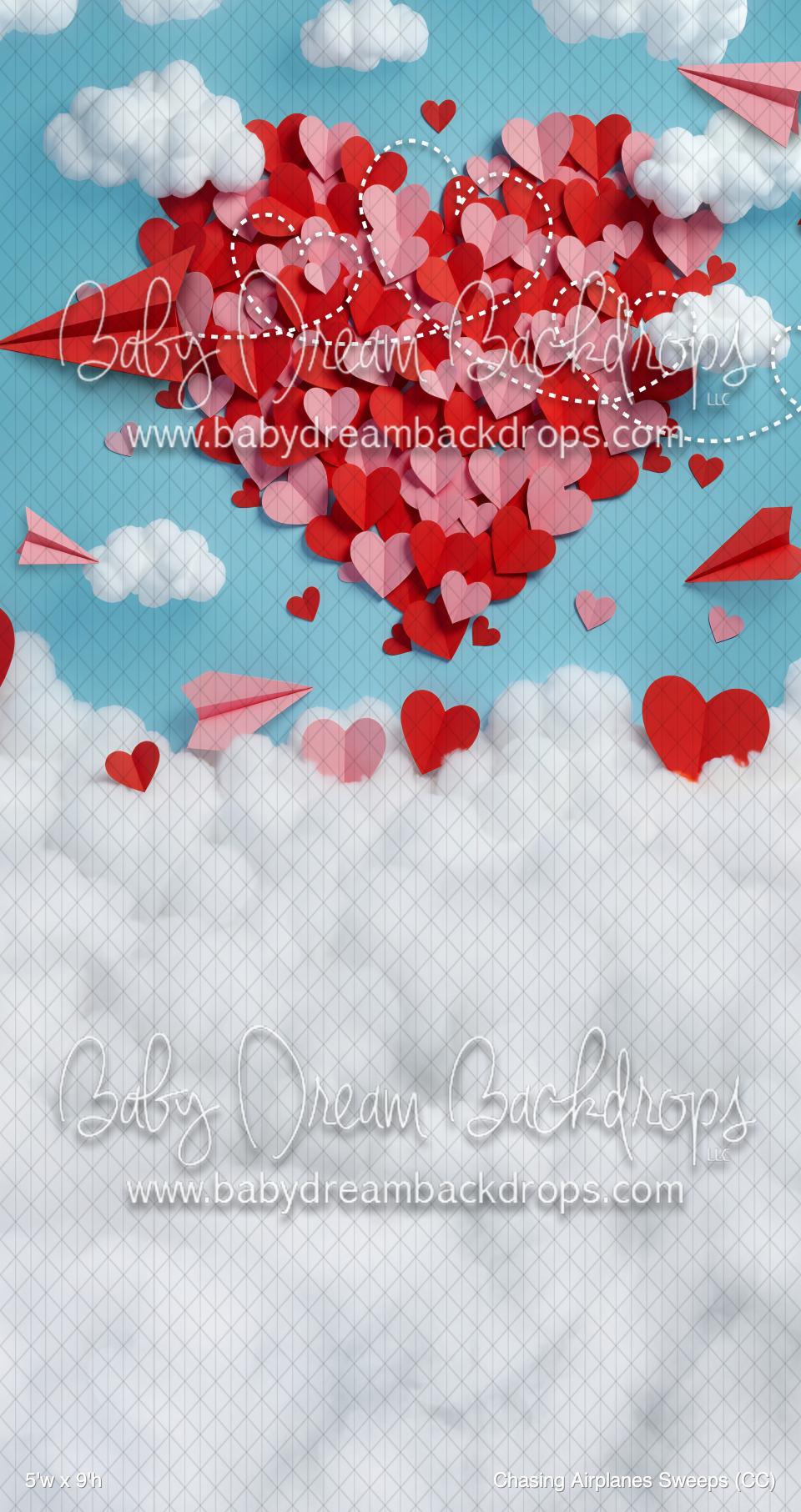 Chasing Airplanes Sweeps (CC) — Baby Dream Backdrops