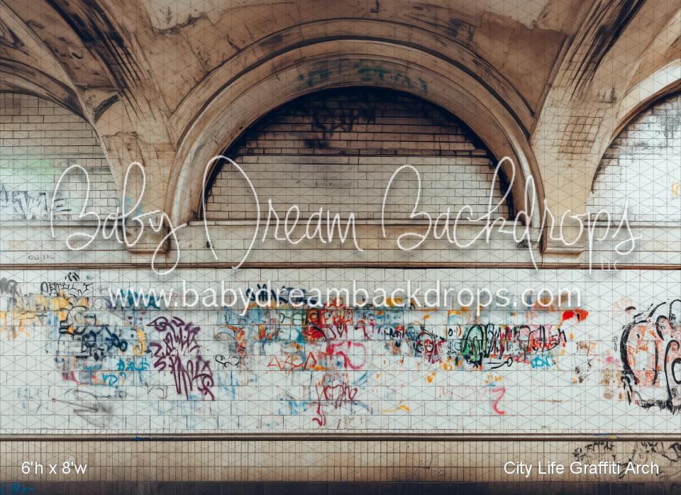 City Life Graffiti Arch (WM) — Baby Dream Backdrops