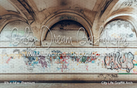 City Life Graffiti Arch (WM) — Baby Dream Backdrops
