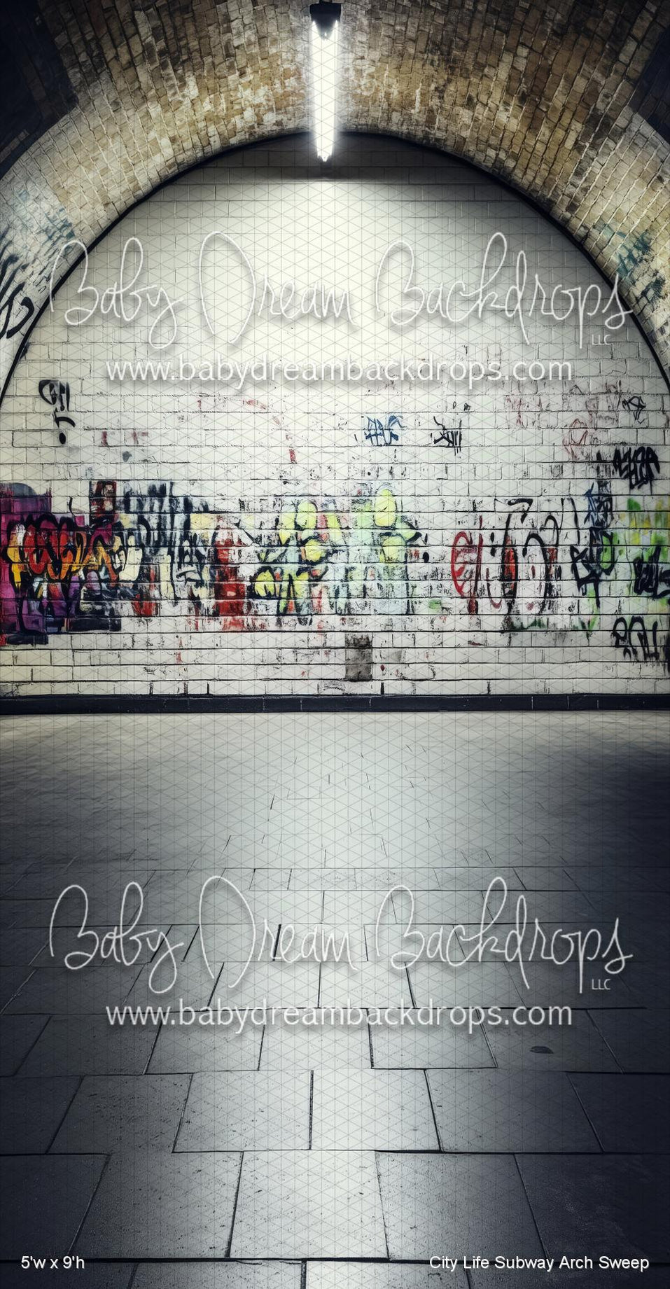 City Life Subway Arch Sweep (WM) — Baby Dream Backdrops