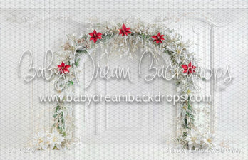 Crimson & Frost Arch (WM) — Baby Dream Backdrops