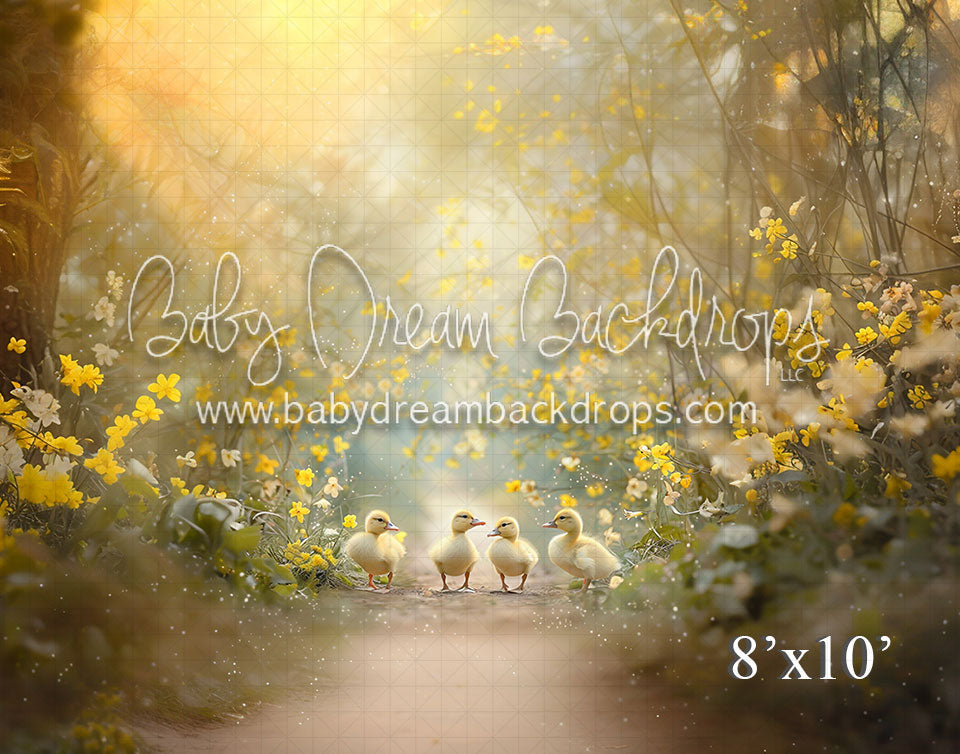 Duck Duck Goose (VR) – Baby Dream Backdrops