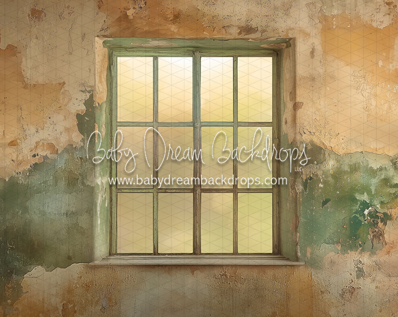 Earth Blend Window (CC) – Baby Dream Backdrops