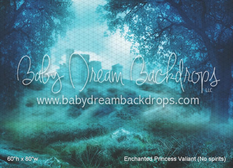 Enchanted Princess Valiant (No spirits) (WM) — Baby Dream Backdrops