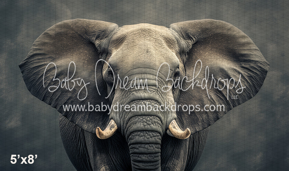 Fine Art Elephant II (WM) — Baby Dream Backdrops