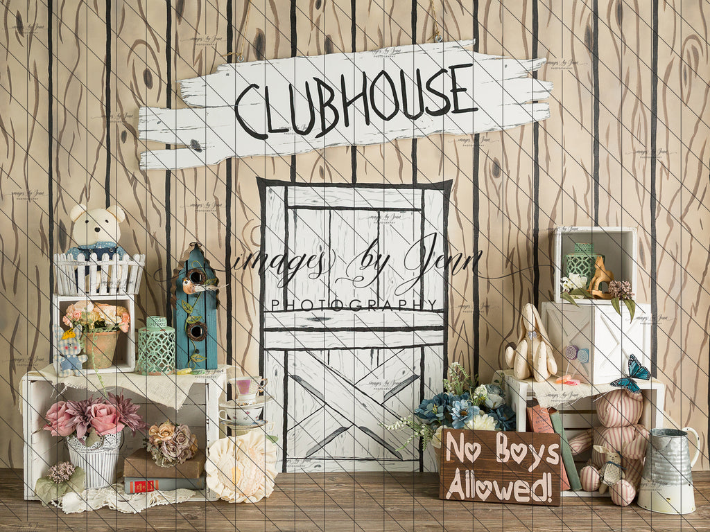 Girls Clubhouse (JG) – Baby Dream Backdrops