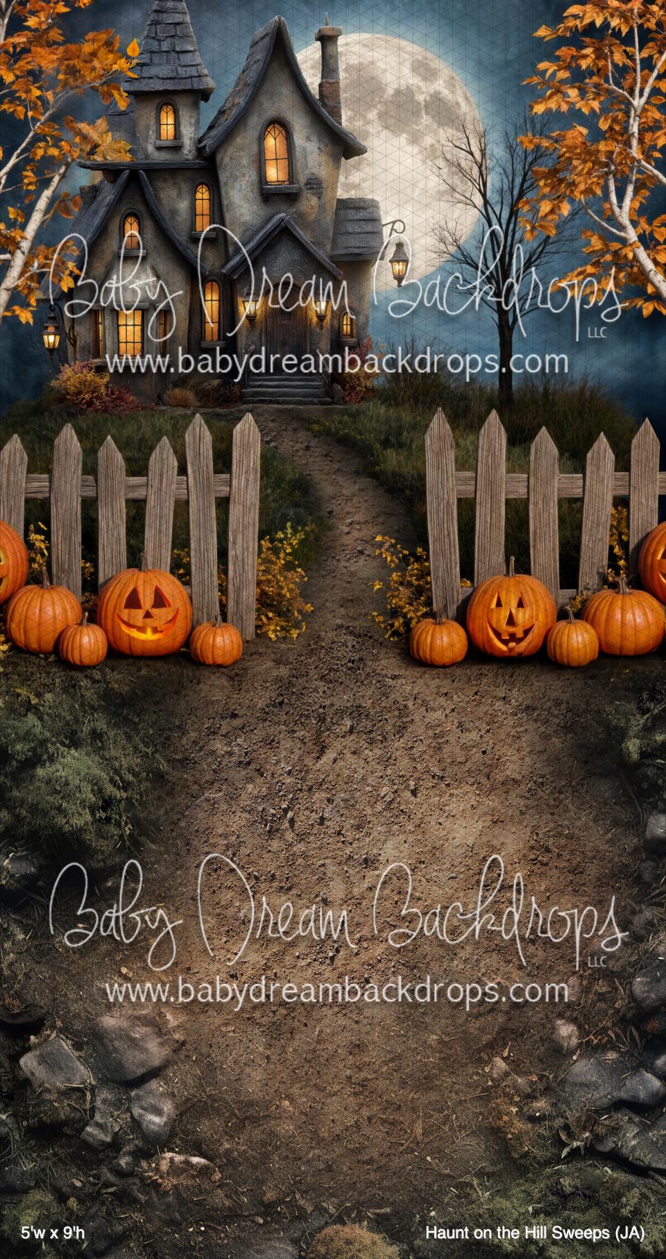 Haunt on the Hill Sweeps (JA) — Baby Dream Backdrops