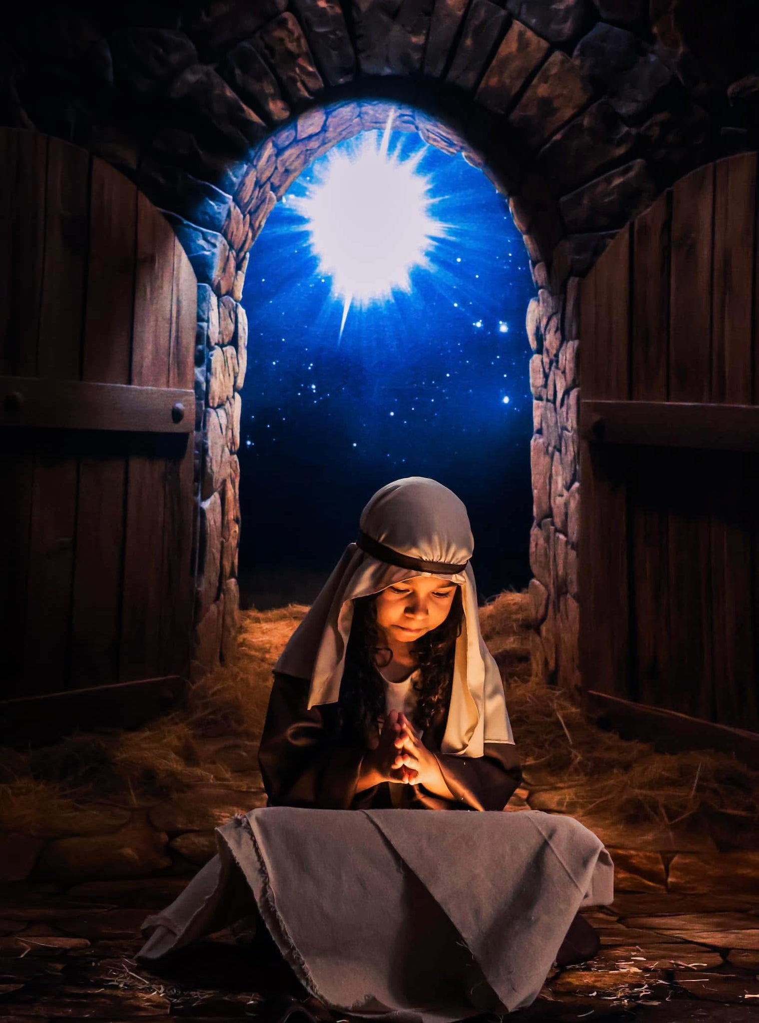 Bethlehem Stable (JA) — Baby Dream Backdrops