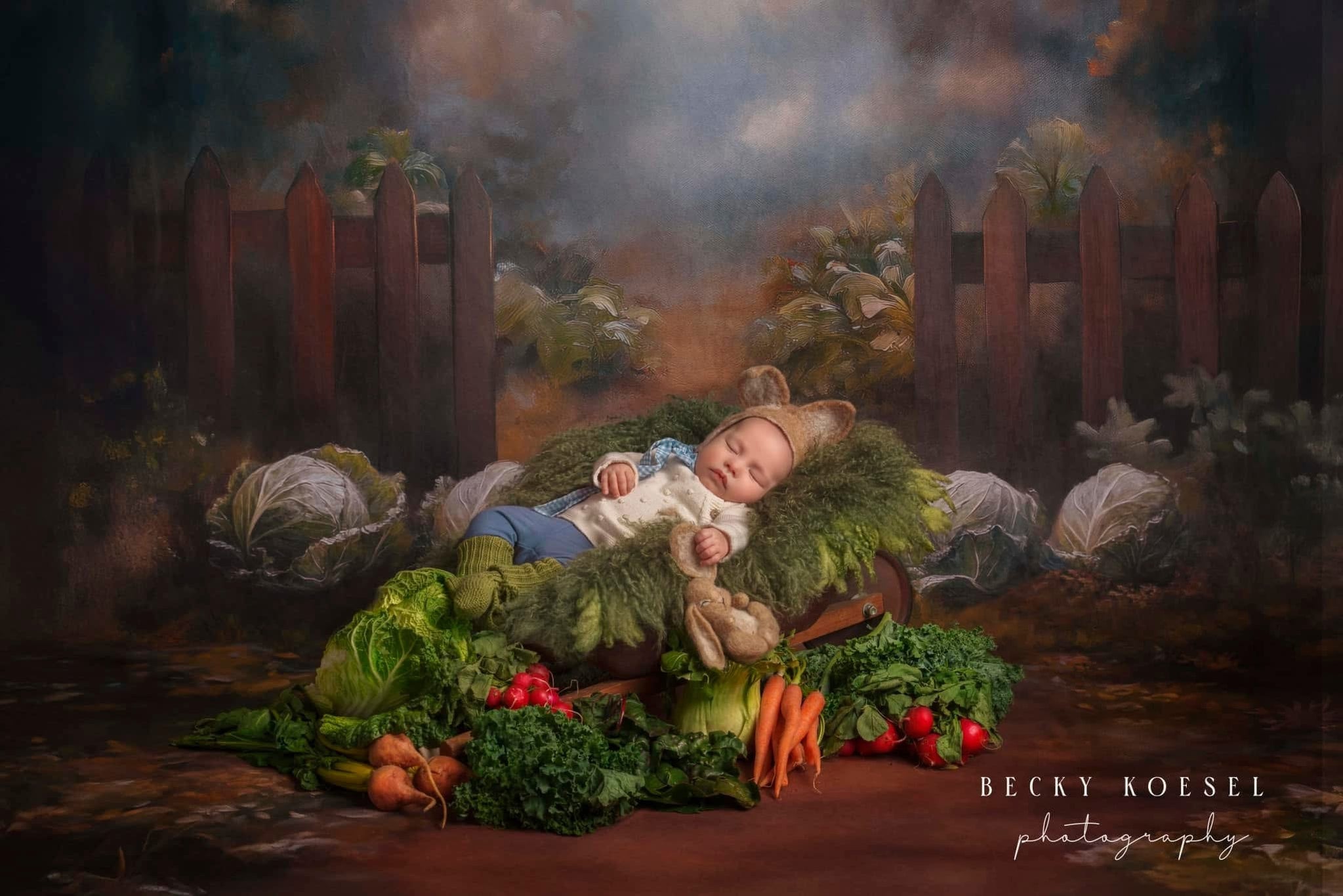 Sweeps Dreamscape Old McGregor Fence (CC) — Baby Dream Backdrops