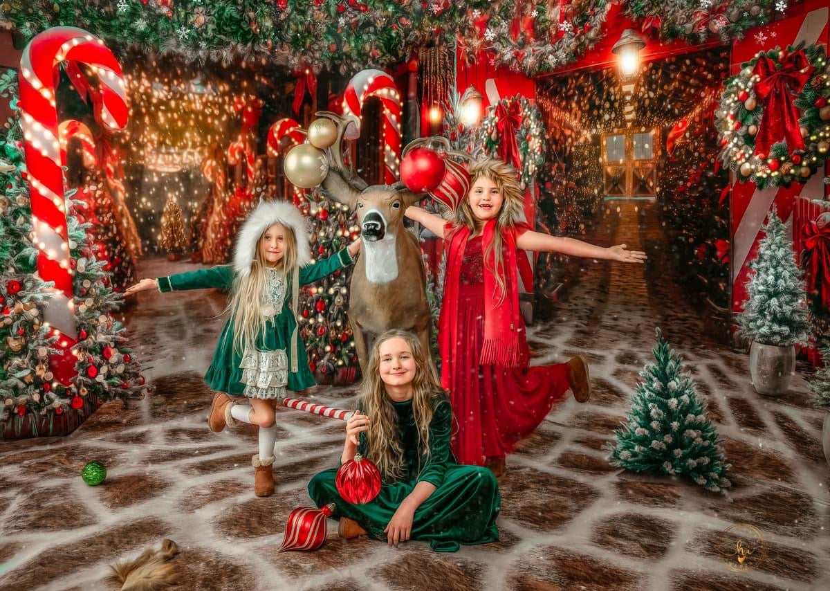 Peppermint Holiday Barn (JA) — Baby Dream Backdrops
