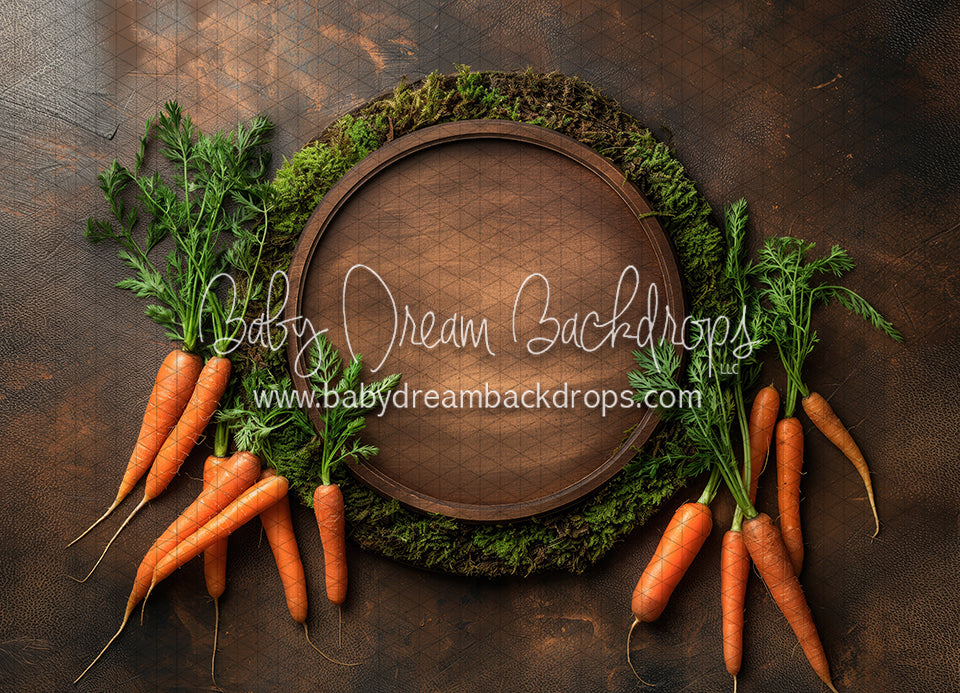 Itty Bitty Cuddle in Carrots (GK) — Baby Dream Backdrops