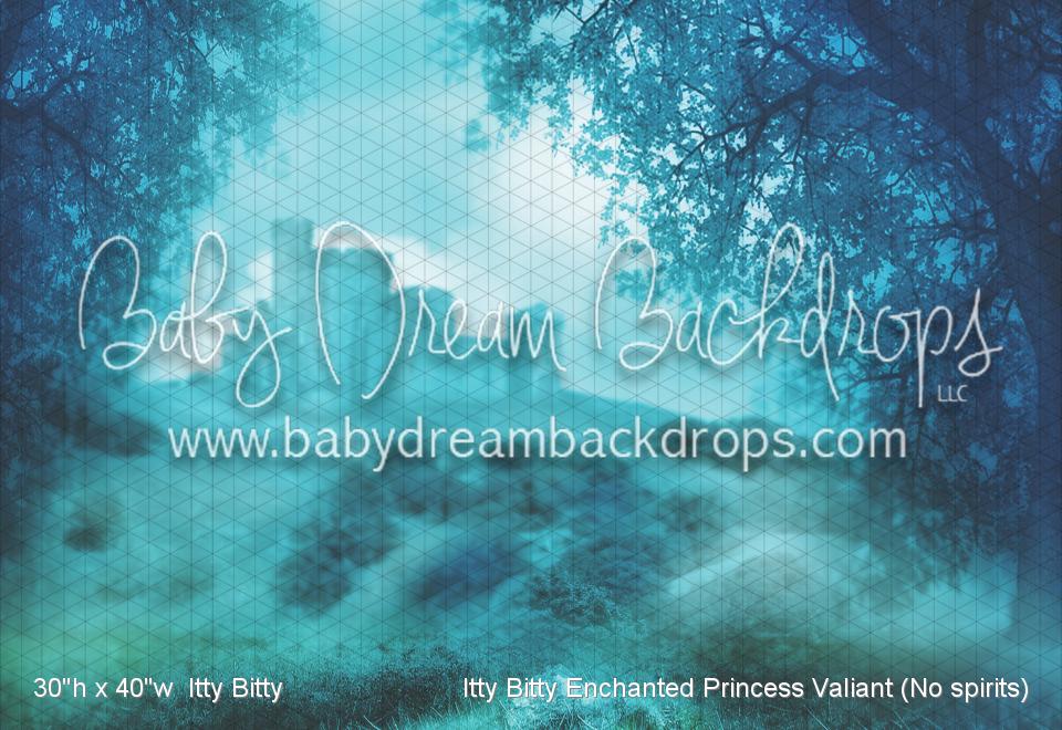 Itty Bitty Enchanted Princess Valiant (No spirits) (WM) — Baby Dream ...