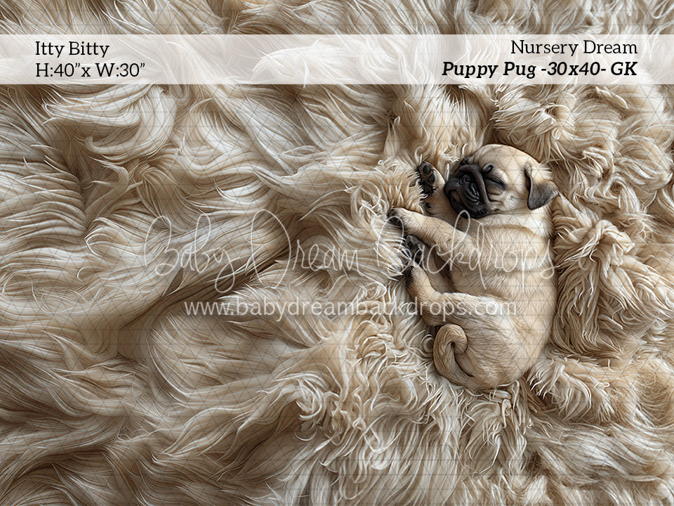 Itty Bitty Nursery Dream Puppy Pug (GK) — Baby Dream Backdrops