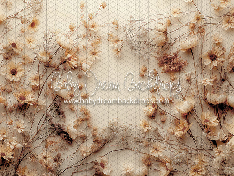 Itty Bitty Sweet Baby Simple September (CC) — Baby Dream Backdrops