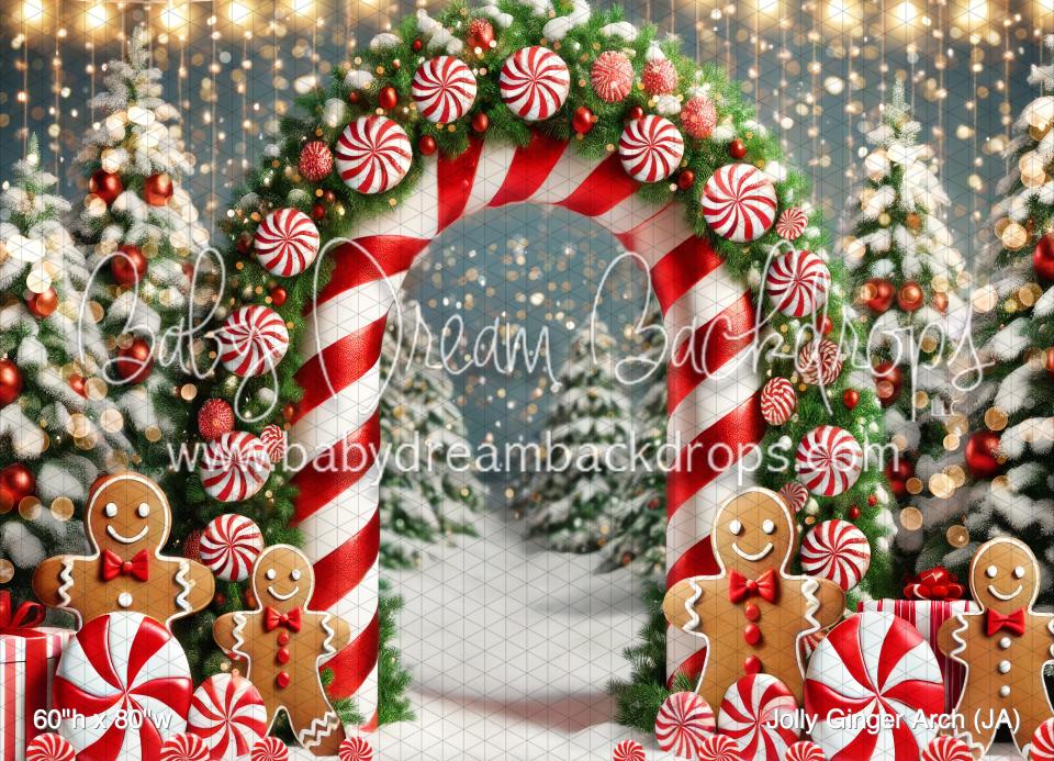 Jolly Ginger Arch (JA) — Baby Dream Backdrops