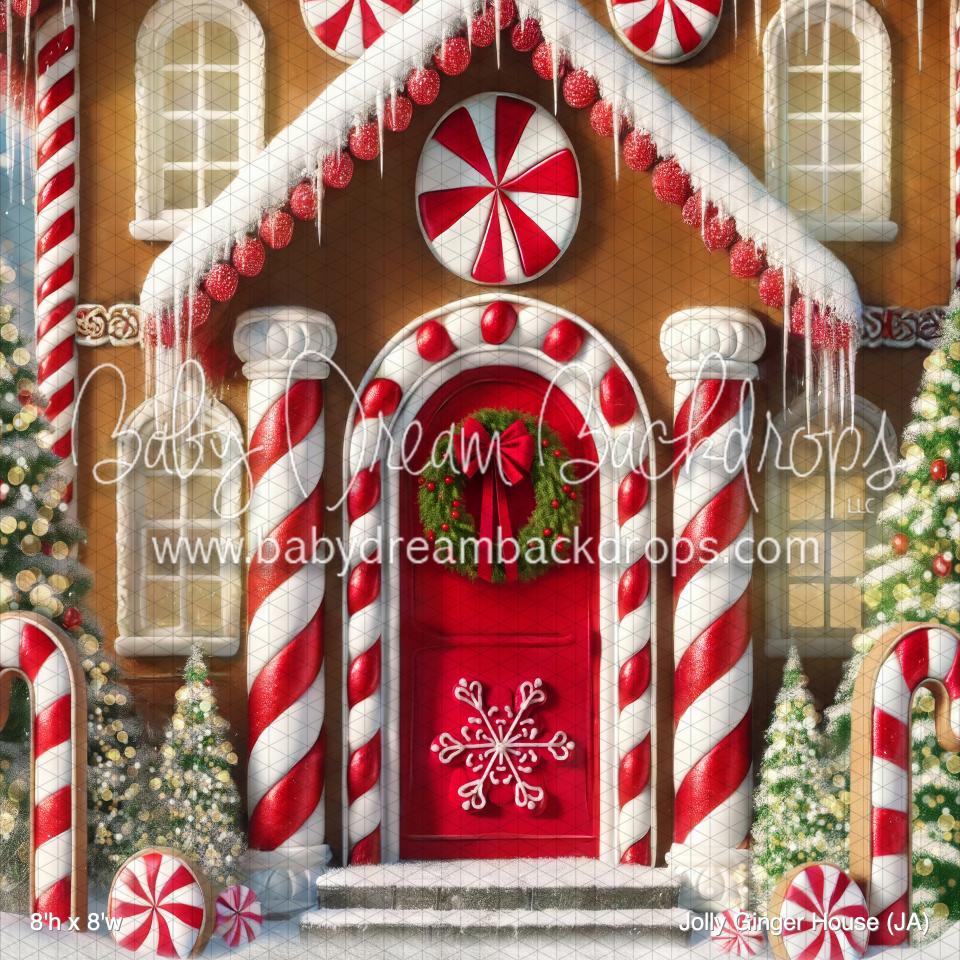 Jolly Ginger House (JA) — Baby Dream Backdrops
