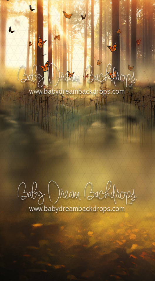 Monarch Forest Sweep (MD) — Baby Dream Backdrops