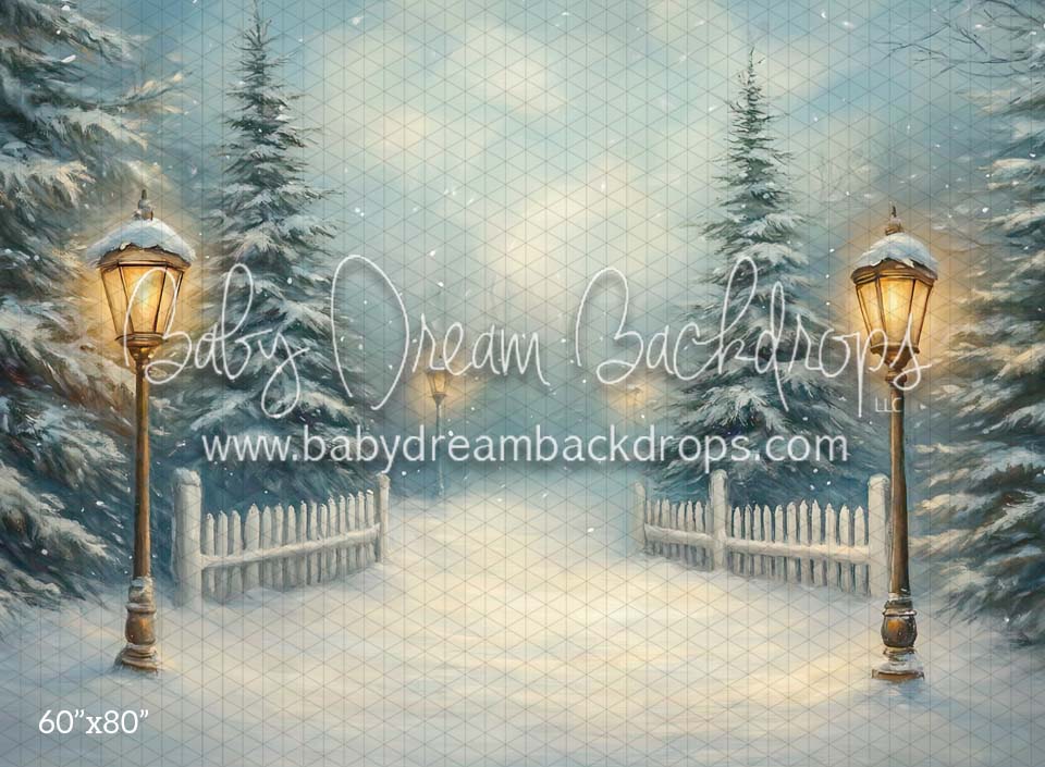 Painted Winter (CM) — Baby Dream Backdrops