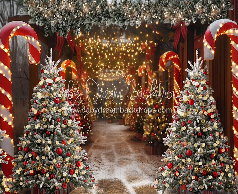 Peppermint Holiday Path (JA) — Baby Dream Backdrops