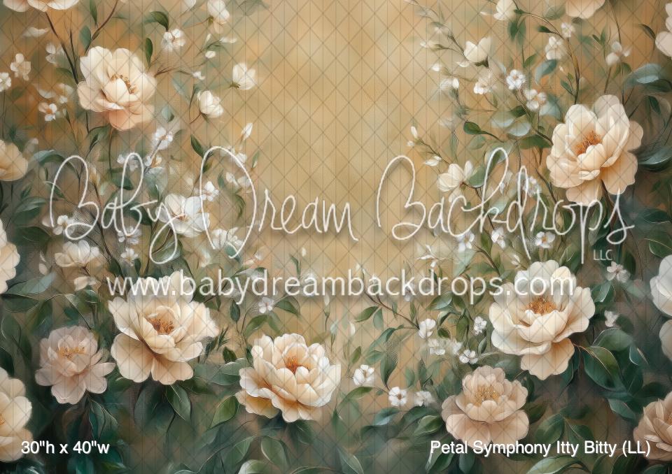 Petal Symphony Itty Bitty (LL) — Baby Dream Backdrops