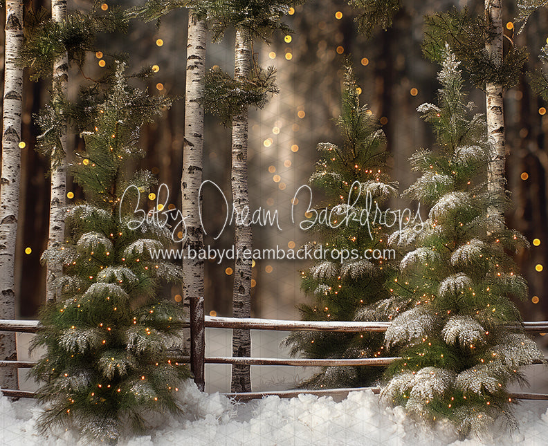 Pretty Little Pines (JA) — Baby Dream Backdrops
