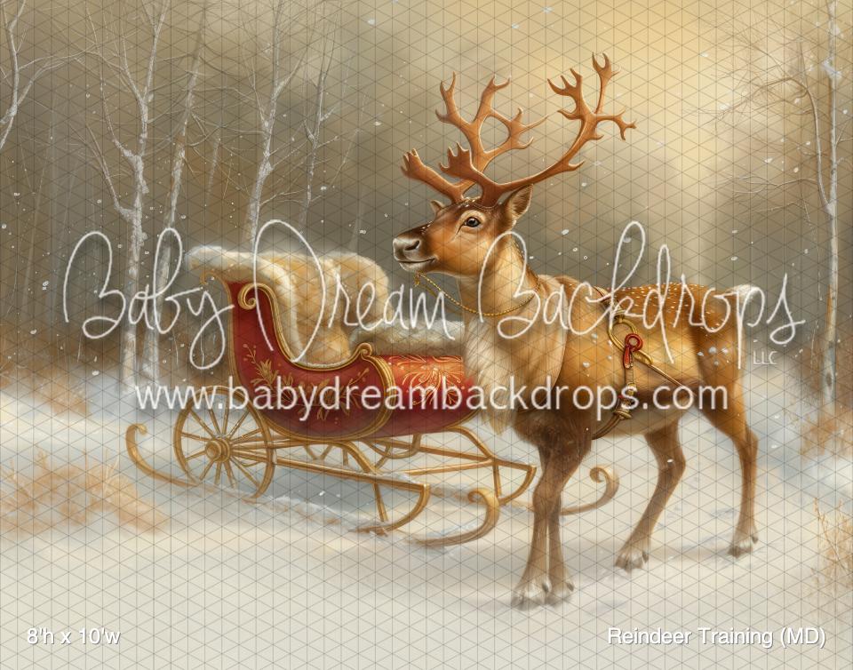 Reindeer Training (MD) — Baby Dream Backdrops