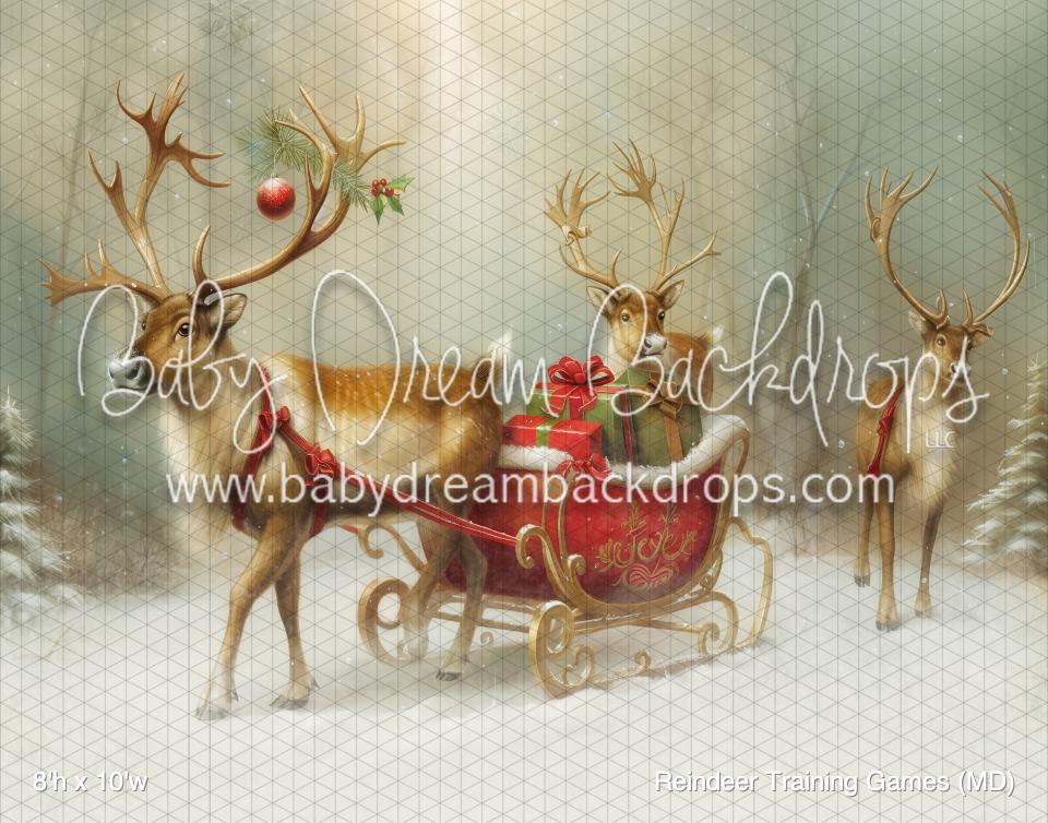Reindeer Training Games (MD) — Baby Dream Backdrops