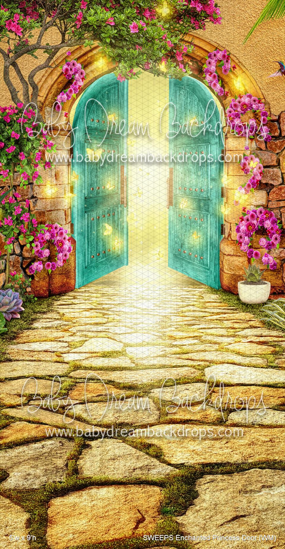 SWEEPS Enchanted Princess Door (WM) — Baby Dream Backdrops
