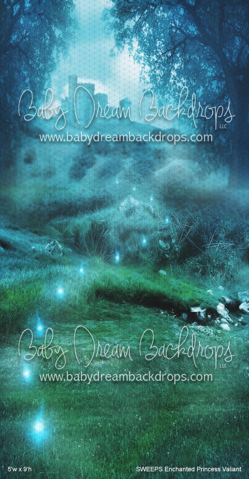 SWEEPS Enchanted Princess Valiant (WM) — Baby Dream Backdrops