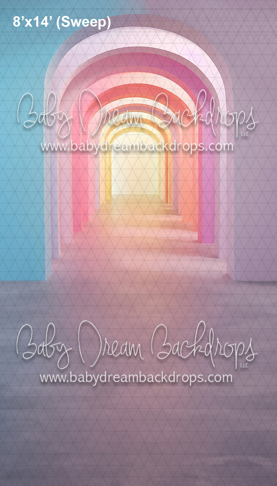 SWEEPS Rainbow Arch Tunnel (WM) — Baby Dream Backdrops