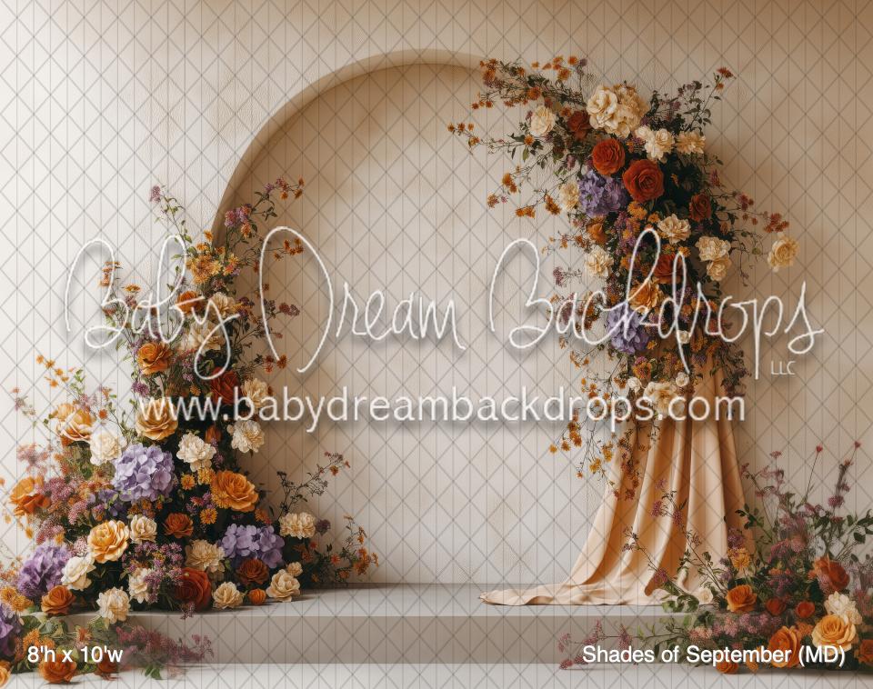 Shades of September (MD) — Baby Dream Backdrops