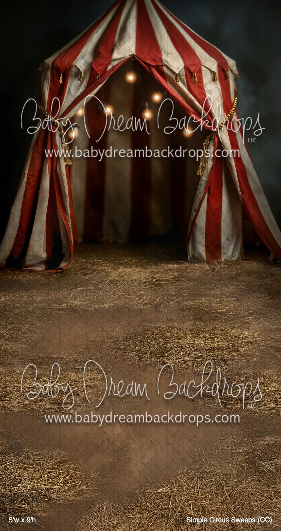 Simple Circus Sweeps (CC) — Baby Dream Backdrops