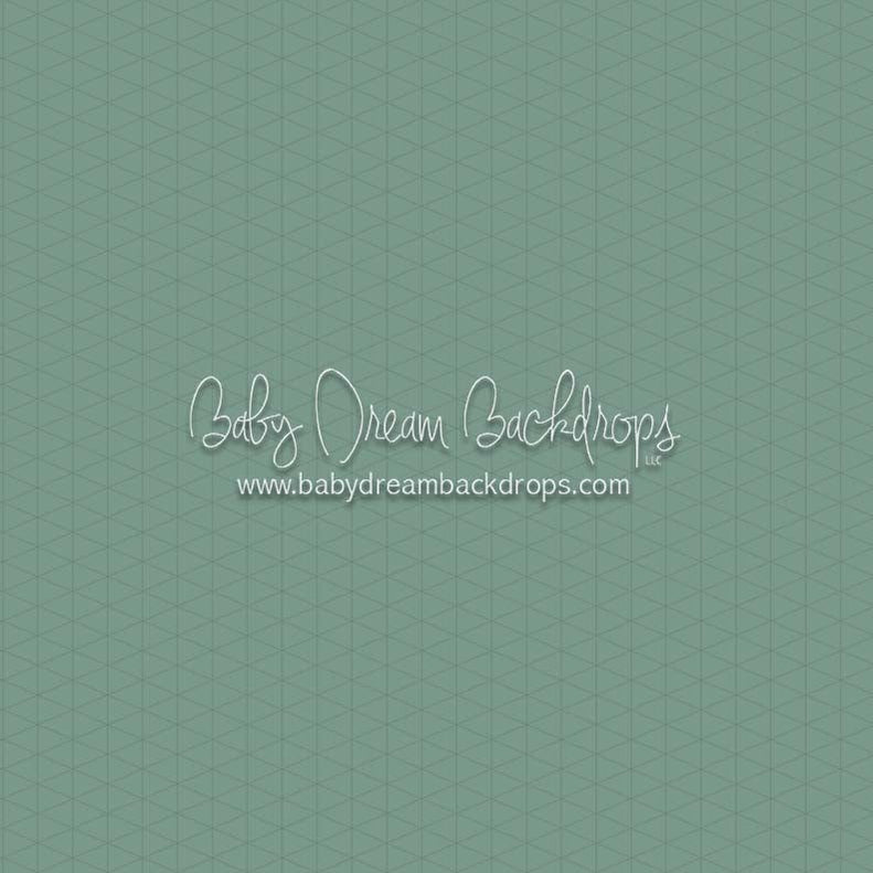 Smooth Cacti — Baby Dream Backdrops