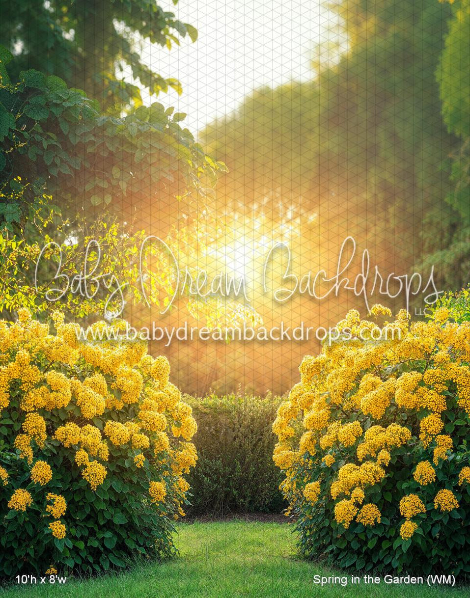 Spring in the Garden (WM) — Baby Dream Backdrops