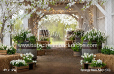 Springy Barn Alley (CC) — Baby Dream Backdrops