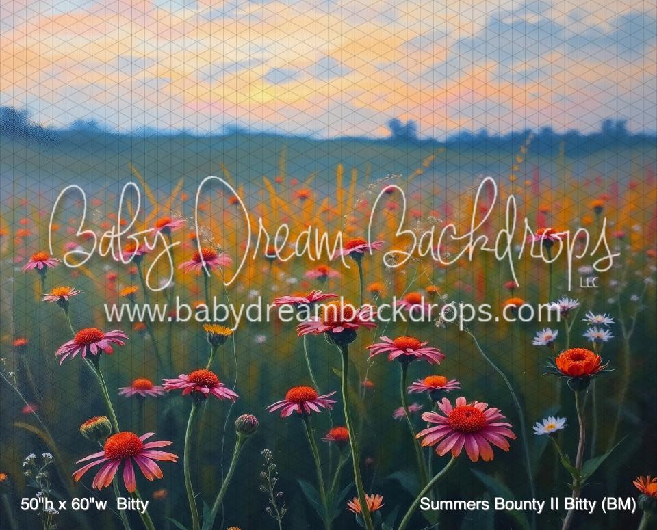 Summers Bounty II Bitty (BM) — Baby Dream Backdrops