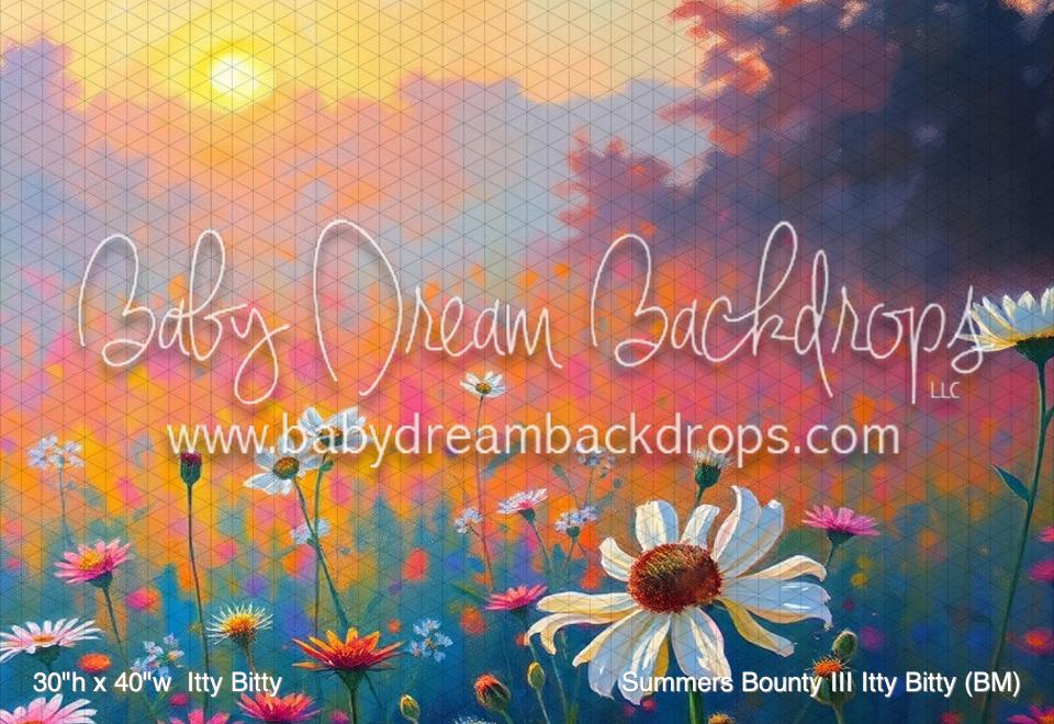 Summers Bounty III Itty Bitty (BM) — Baby Dream Backdrops