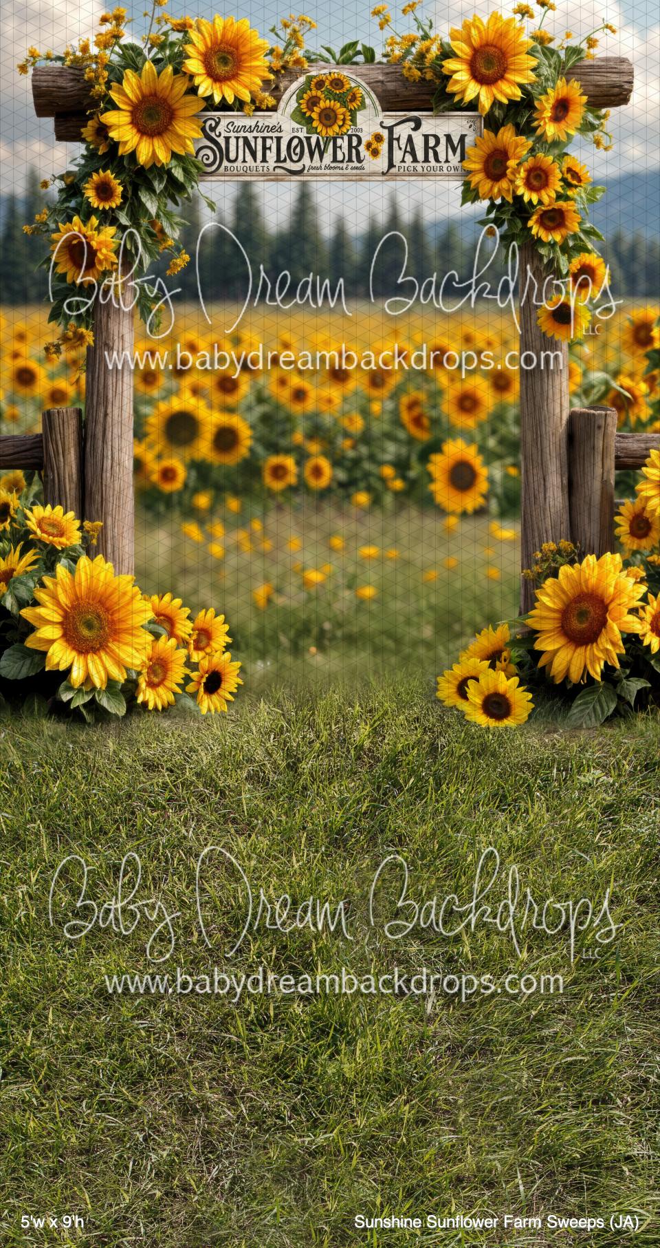 Sunshine Sunflower Farm Sweeps (JA) — Baby Dream Backdrops
