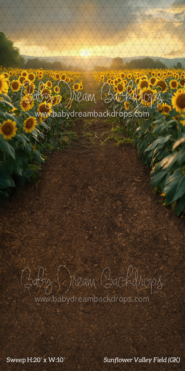 Sweep Sunflower Valley Field (GK) – Baby Dream Backdrops
